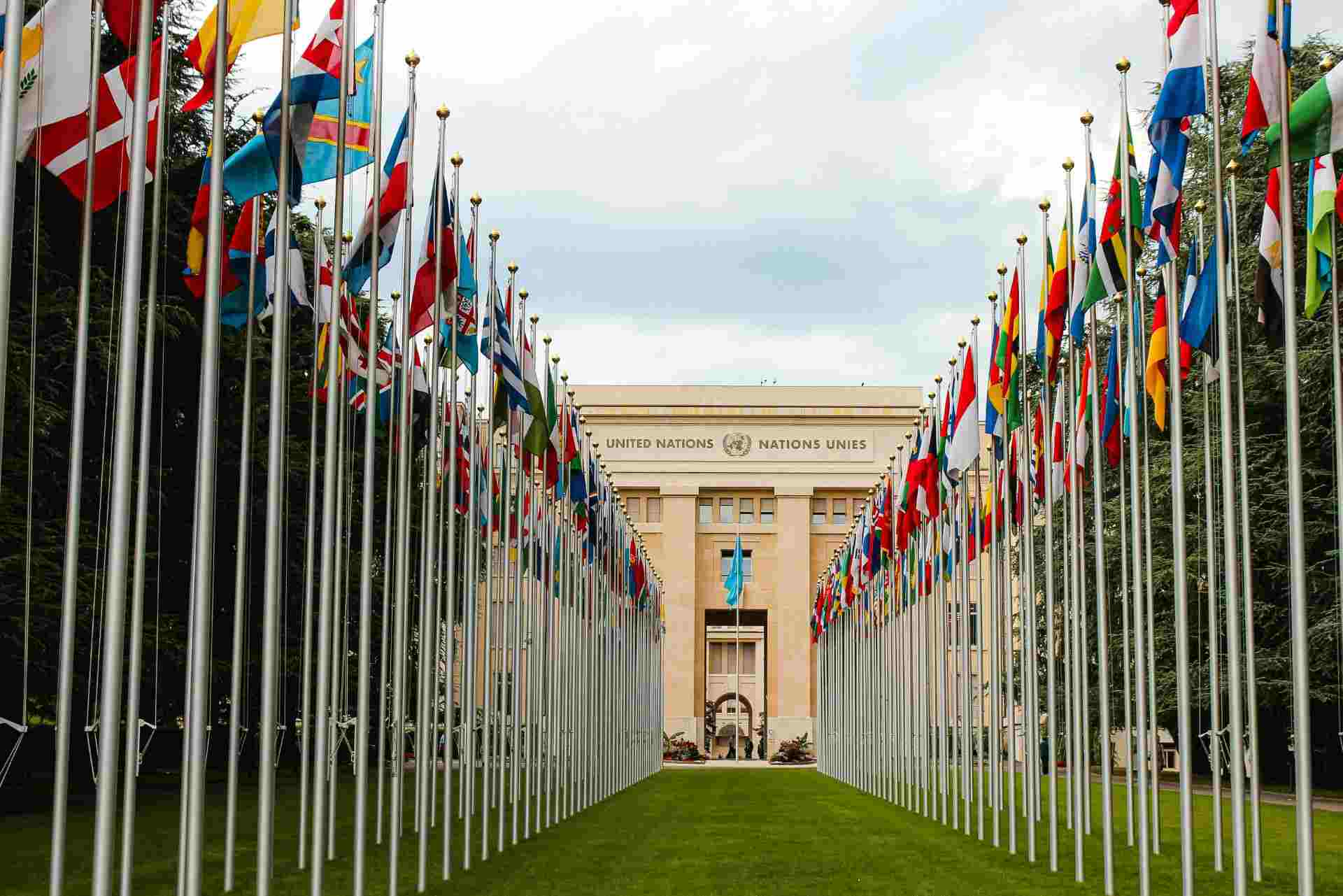 Sobre la ONU